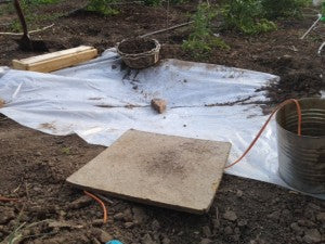 DIY Solar Still – Be Prepared - Emergency Essentials